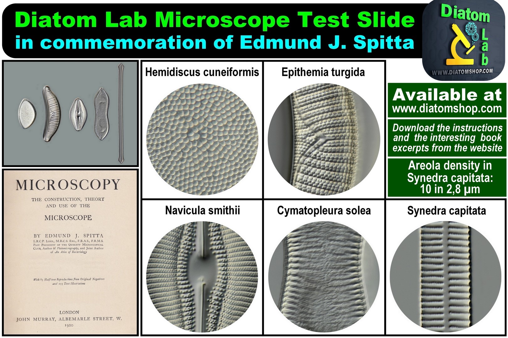 Diatom Microscope Slides